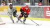 Eishockey: Haßfurt Hawks kämpfen um Platz zwei in der Landesliga