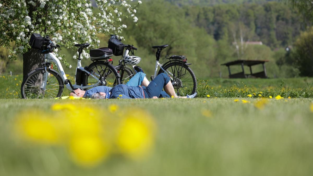 Wetter: Sommerlicher Feiertag - doch hier steigt die Waldbrandgefahr