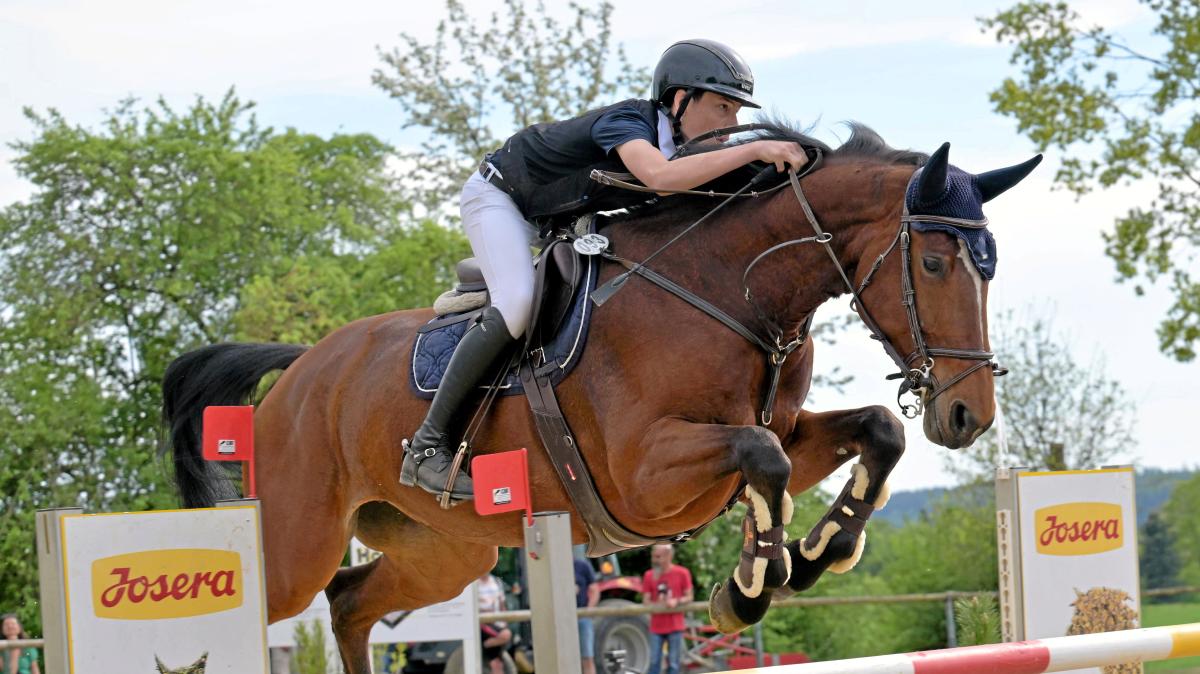 Springturnier PSV Bleichen in Unterbleichen: Luis Weishaupt gewinnt M ...