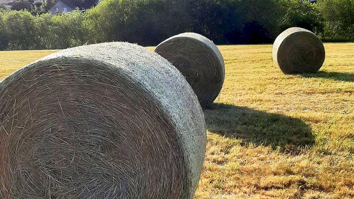 Lichtenfels: Wetterregeln im Juni