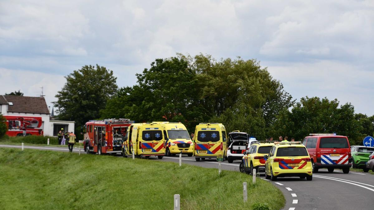 Vogelwaarde: Tragischer Unfall in den Niederlanden: Vier Tote ...