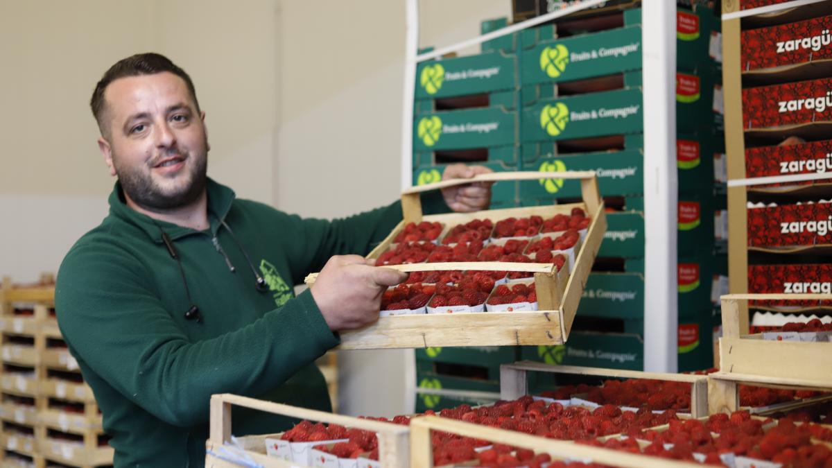 Saisonarbeit am Bodensee: Erntehelfer Michael verlässt monatelang ...