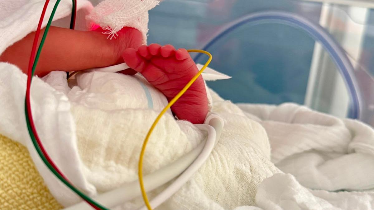 Landkreis Neu-Ulm: „Nach turbulentem Start“ gesund daheim: Landrätin ...